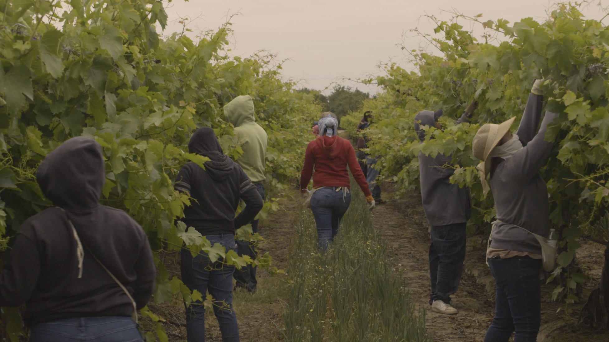 AN INTERVIEW WITH CHRIS FILIPPONE ABOUT ‚HOW TO BREATHE IN KERN COUNTY ...